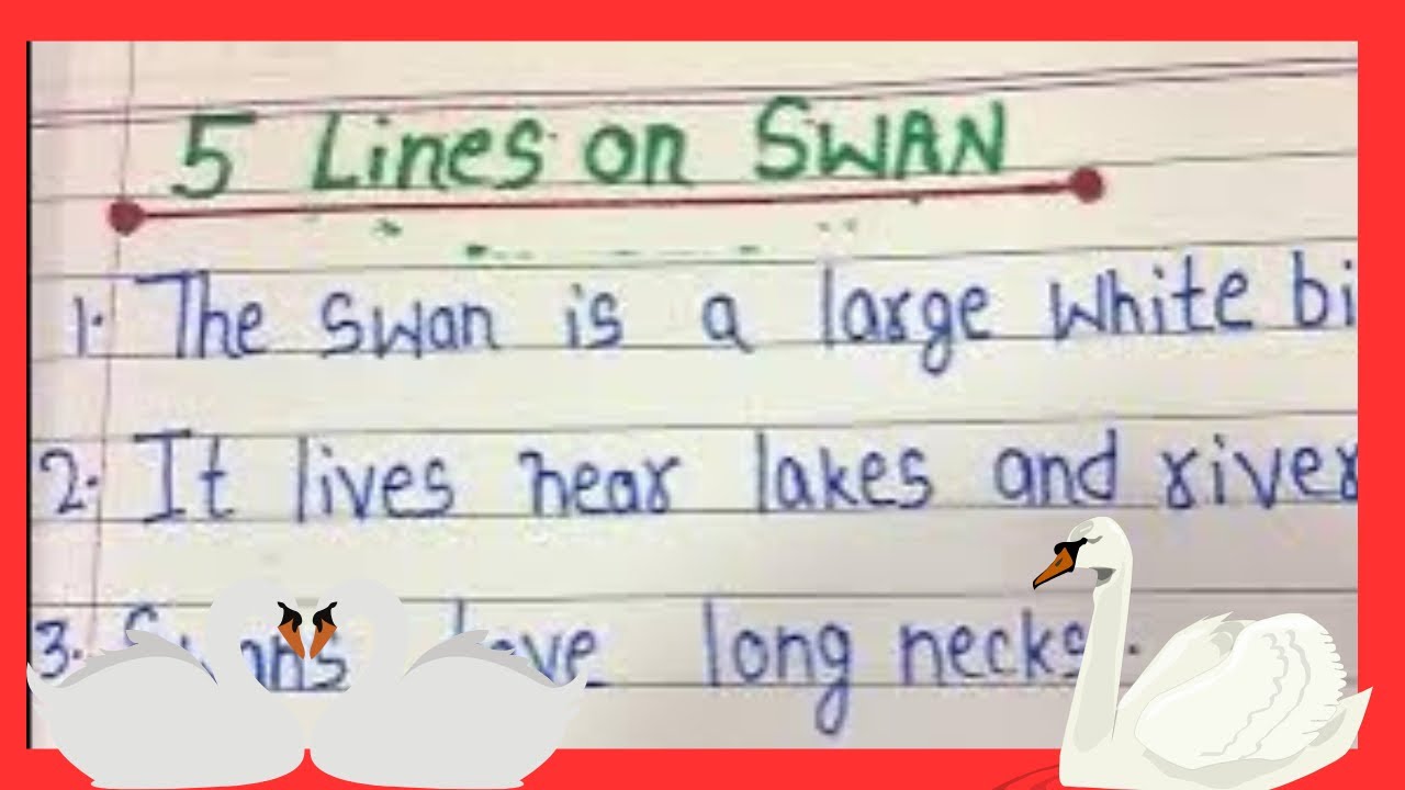 5 Lines on Swan ! Short essay on Swan 🦢 - YouTube