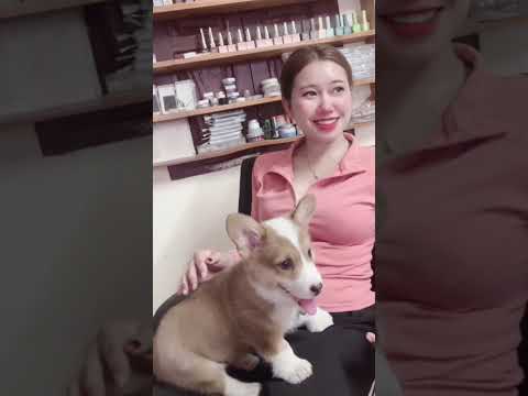 Luu Linixes 💝Play With my pet - DOG ❣️#92 #bigo #livestream #broadcast