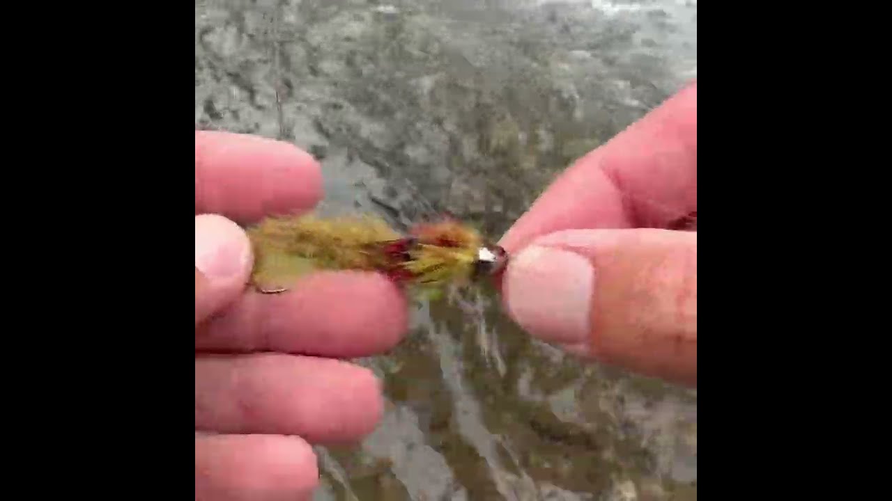 Only Fisherman Will Understand THE PUNCH IN THE GUT - YouTube