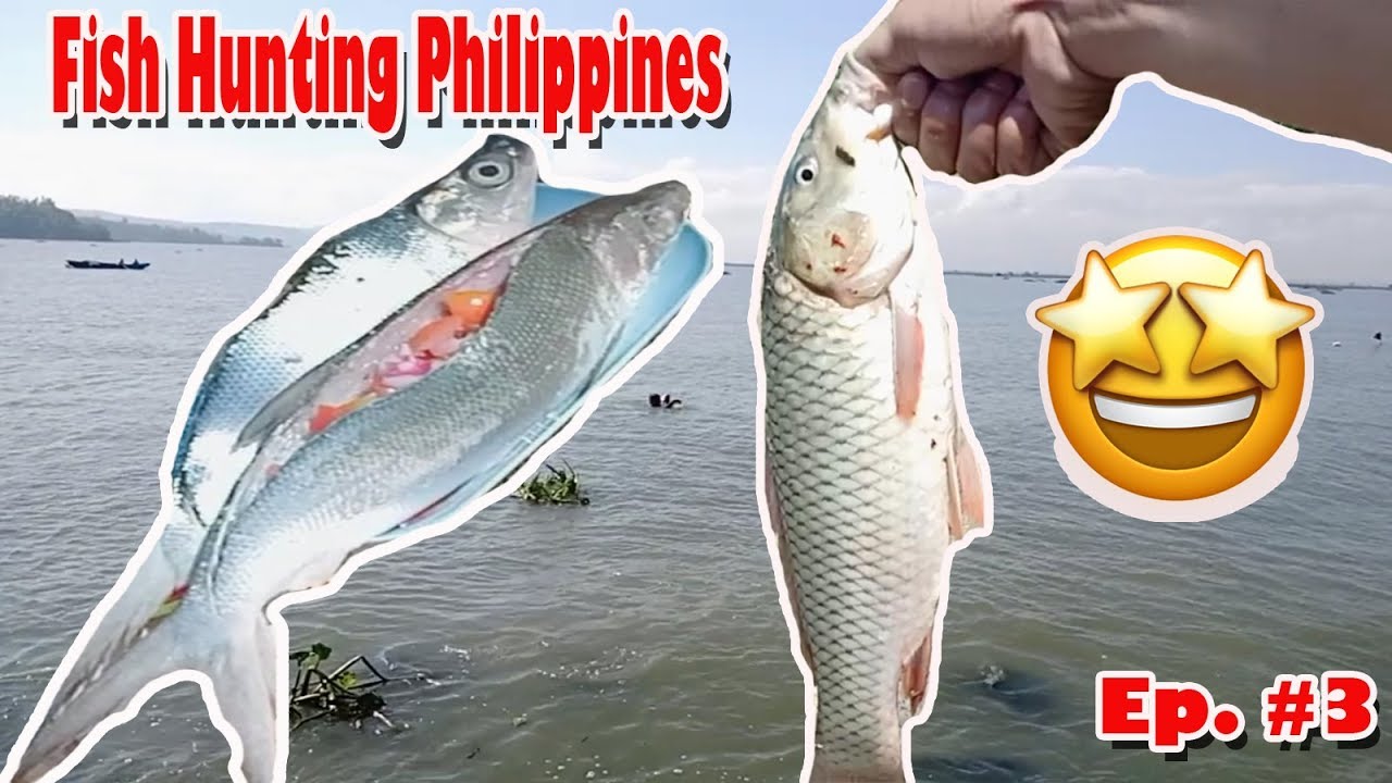 Fish Hunting Philippines ep.3 | fresh water - YouTube