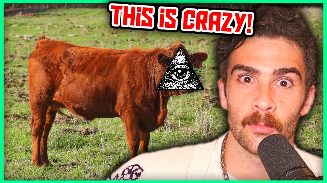 This Red Cow Conspiracy Theory is INSANE | Hasanabi Reacts - YouTube