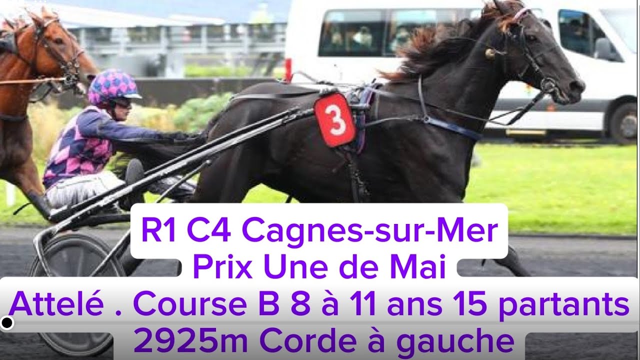 pronostic Geny courses le gazette PMU Quinté+ R1 C4 mercredi 22 janvier 2025 - YouTube