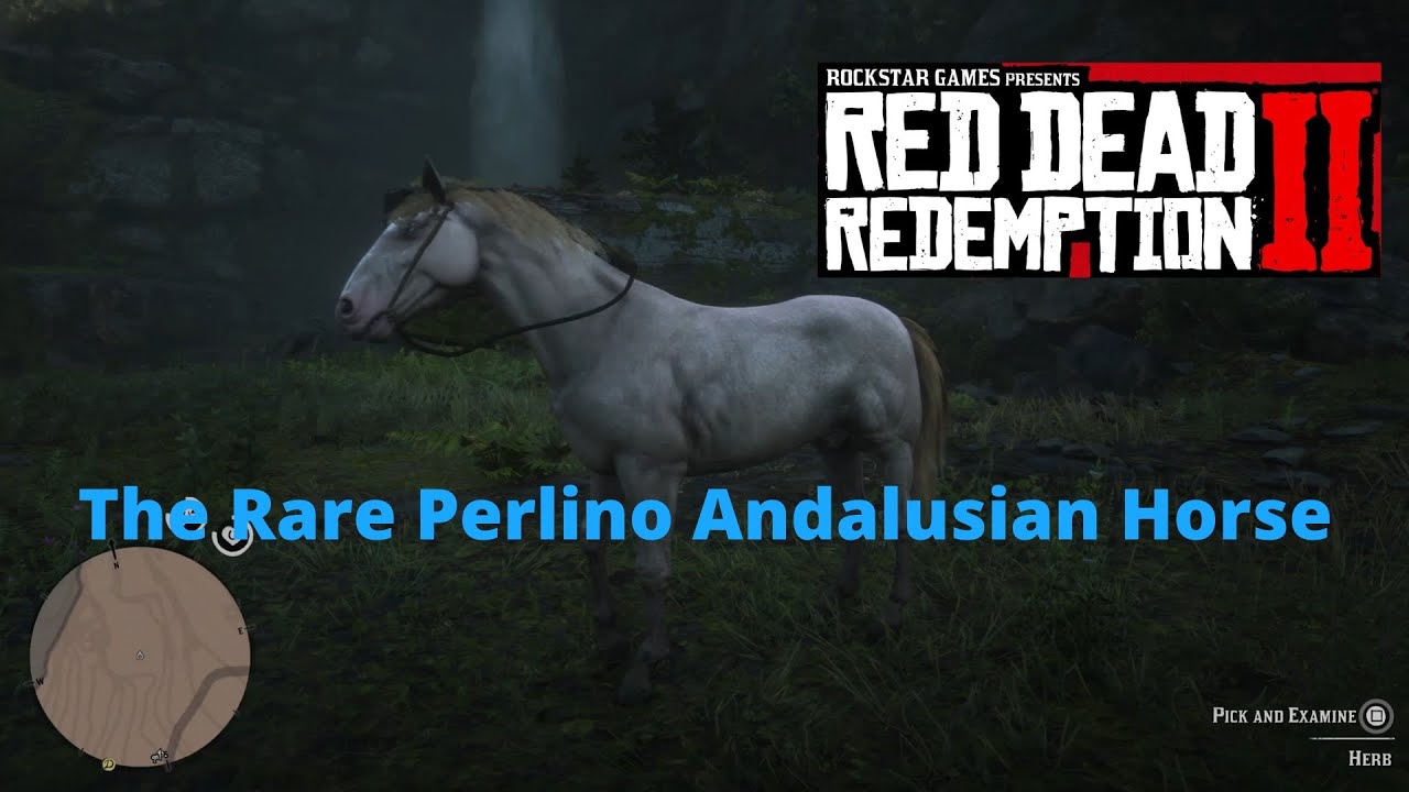 Perlino Andalusian Rare Horse Location - Red Dead Redemption 2 (RDR2 ...