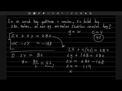 Problemas que se resuelven con un SISTEMA de 2x2 | Tenemos conejos y gallinas ¿Cuántas patas hay ...