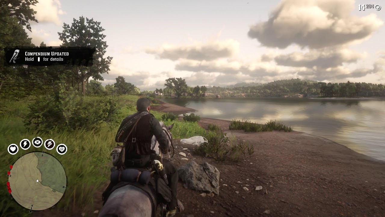 Brown Pelican best location RDR2 - YouTube