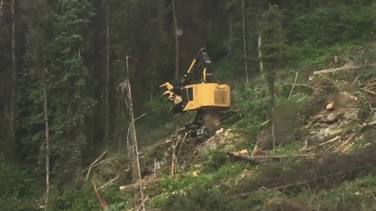 Tigercat 830D LX Extreme Slopes - YouTube
