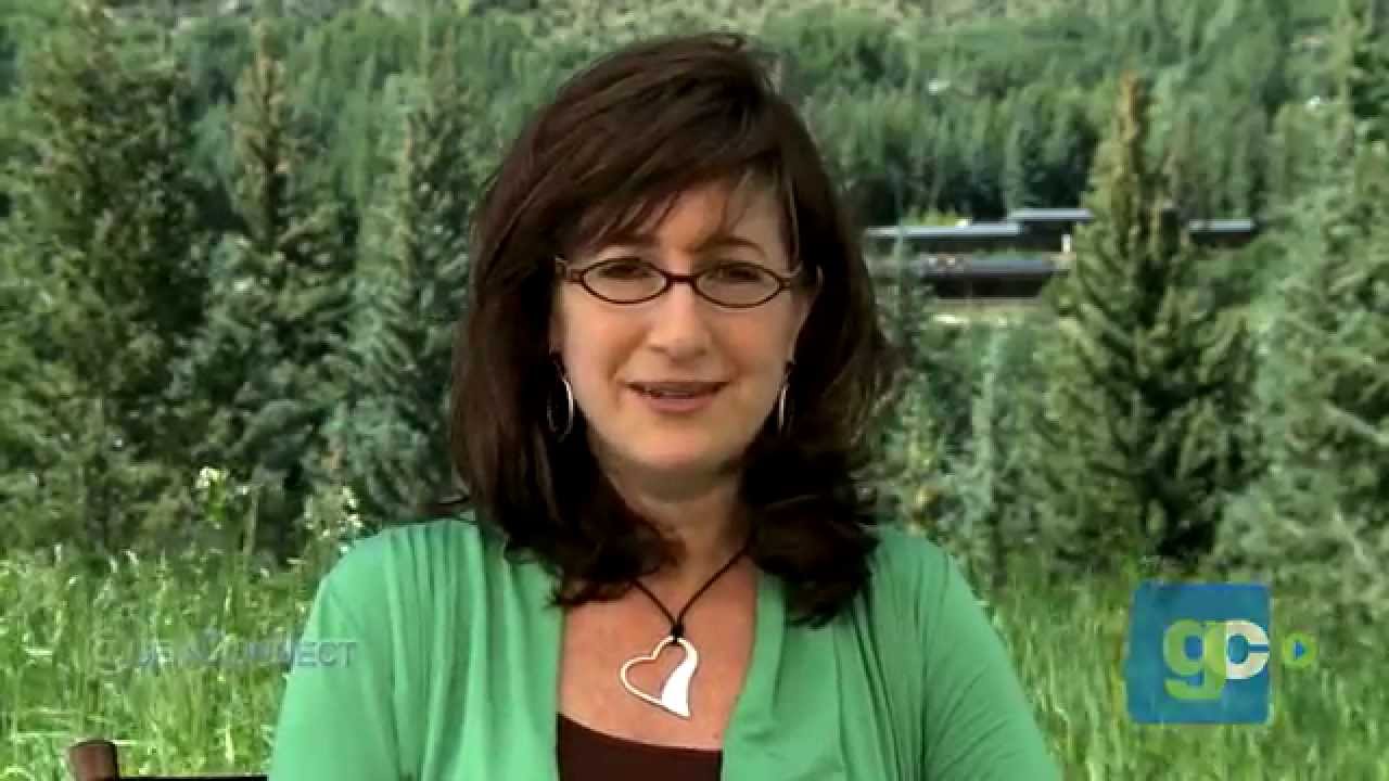 Rachel Greenwald on The Perfect First Date - YouTube