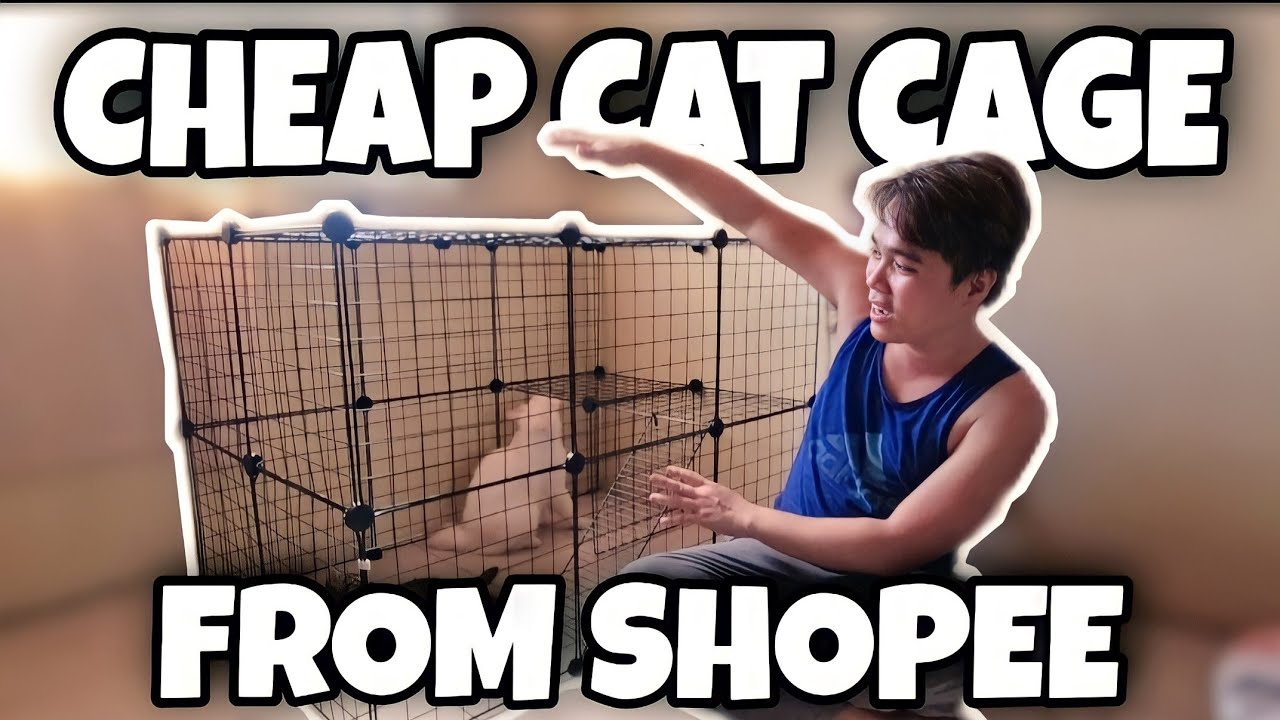 CHEAP CAT CAGE FROM SHOPEE - SHOPEE BUDOL - SHOPEE FINDS - YouTube