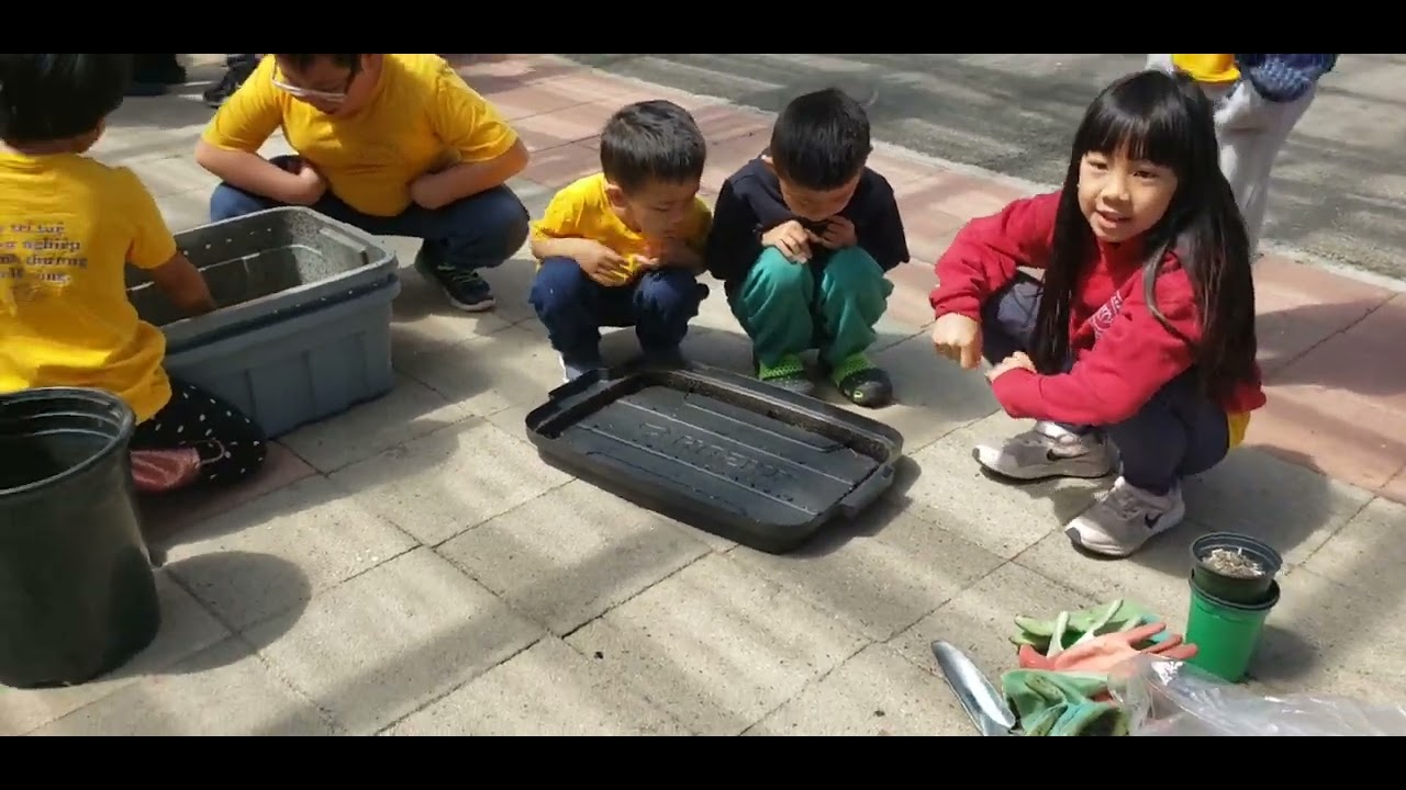 Life Skills - Composting with Anya Yu-Swanson - YouTube