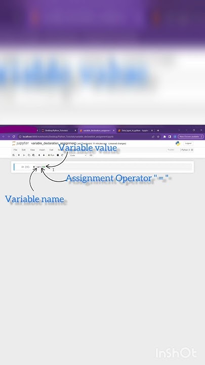 Introduction To Jupyter Notebook Part 7 Understand Variable Declare In Python