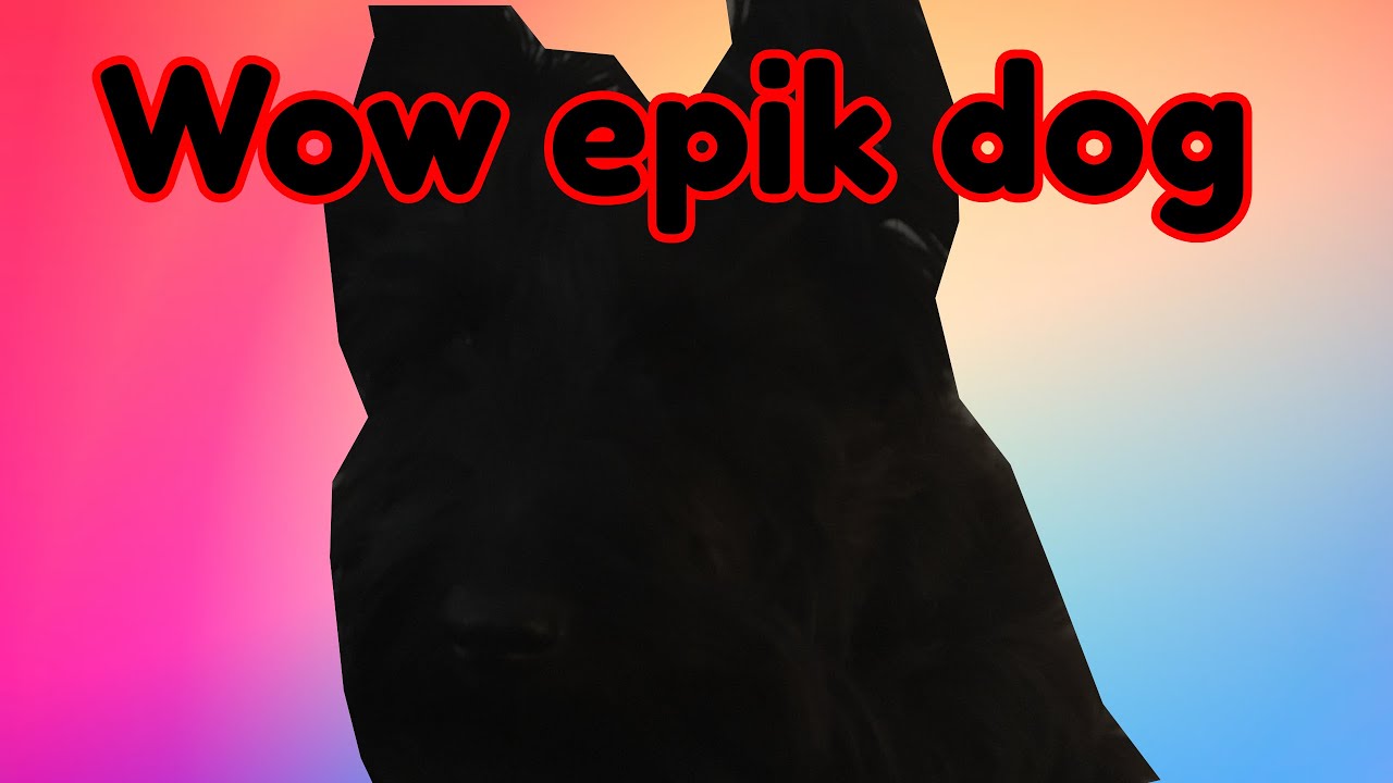 Dog Reveal YouTube dog-reveal-youtube