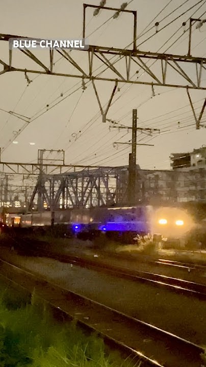 (貨物列車) 2024/09/20 2058レ EF210-118 + コキ20B カンガルーライナーSS60 (吹田タ〜陸前山王) #Shorts - YouTube