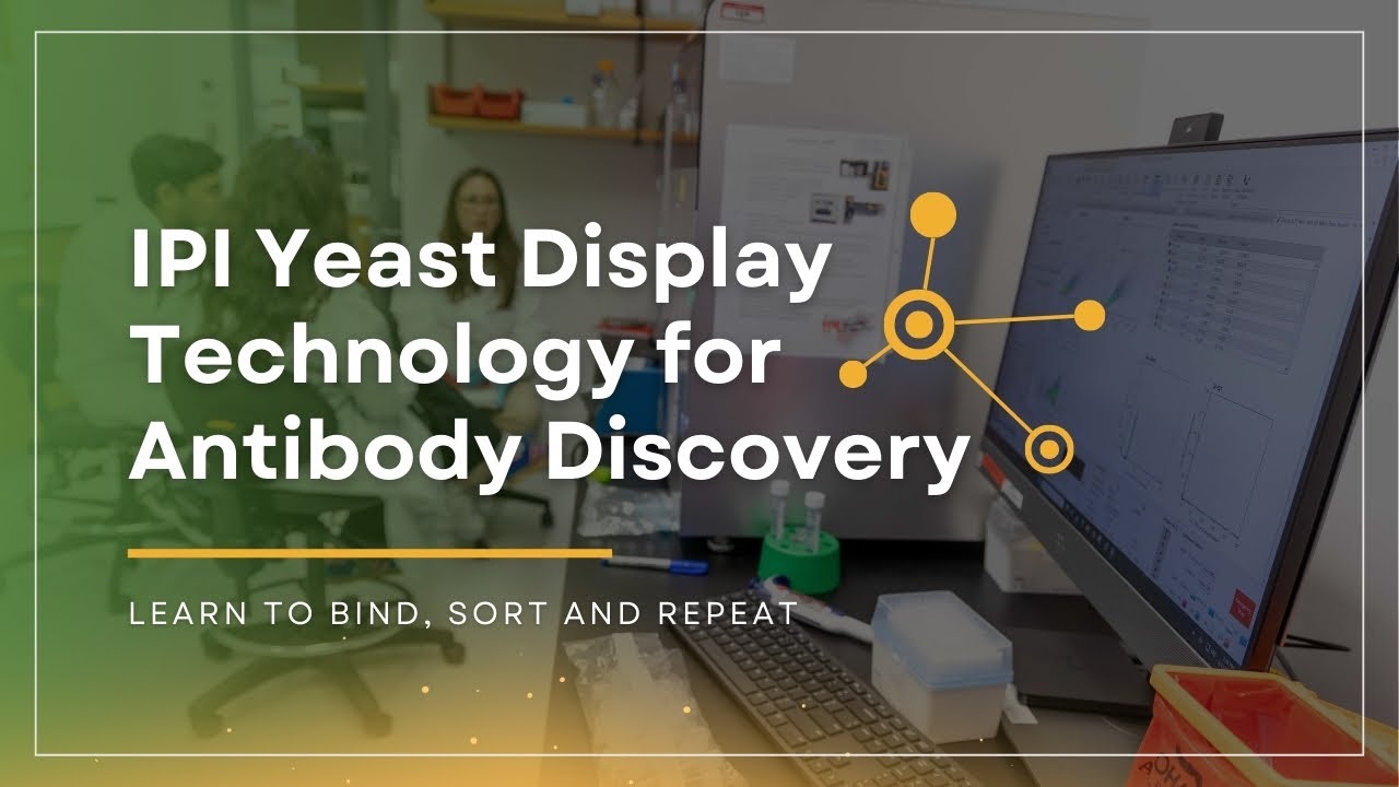 Yeast Display Technology for Antibody Discovery | IPI Course 2025 - YouTube