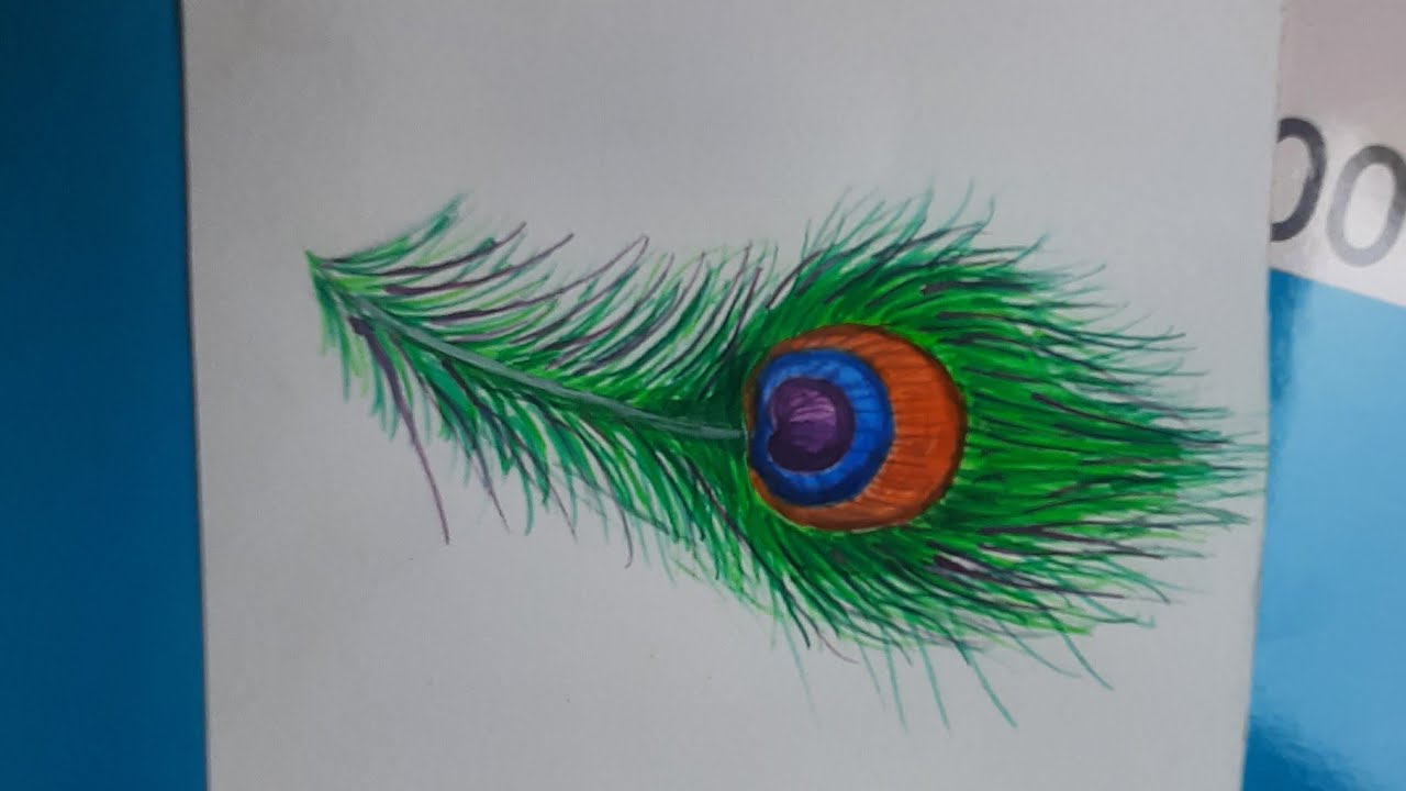 simple Peacocks feather painting. Water colour on cardsheet # ...
