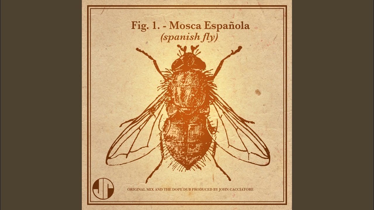 Mosca Española (Original Mix) - YouTube