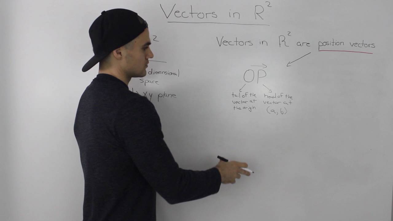 vectors in r2 overview - YouTube
