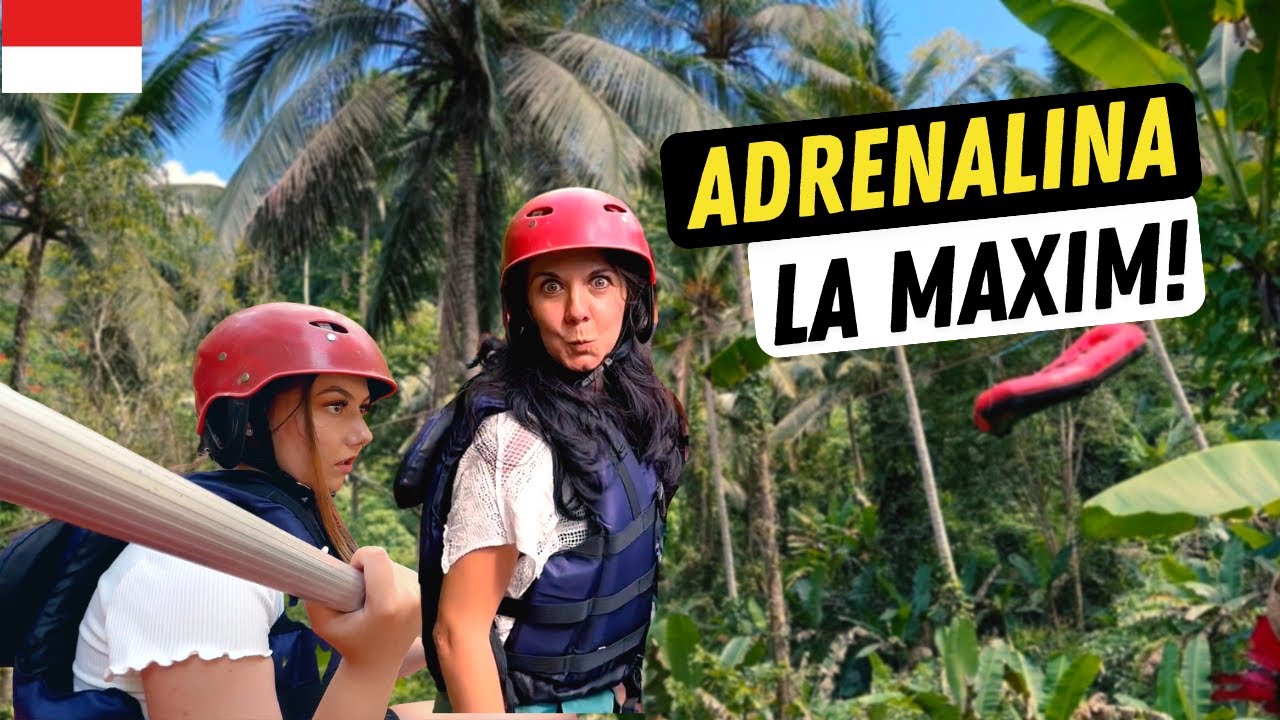 NU se asteptau la ASA CEVA! Tipete si SPORTURI EXTREME in JUNGLA din ...
