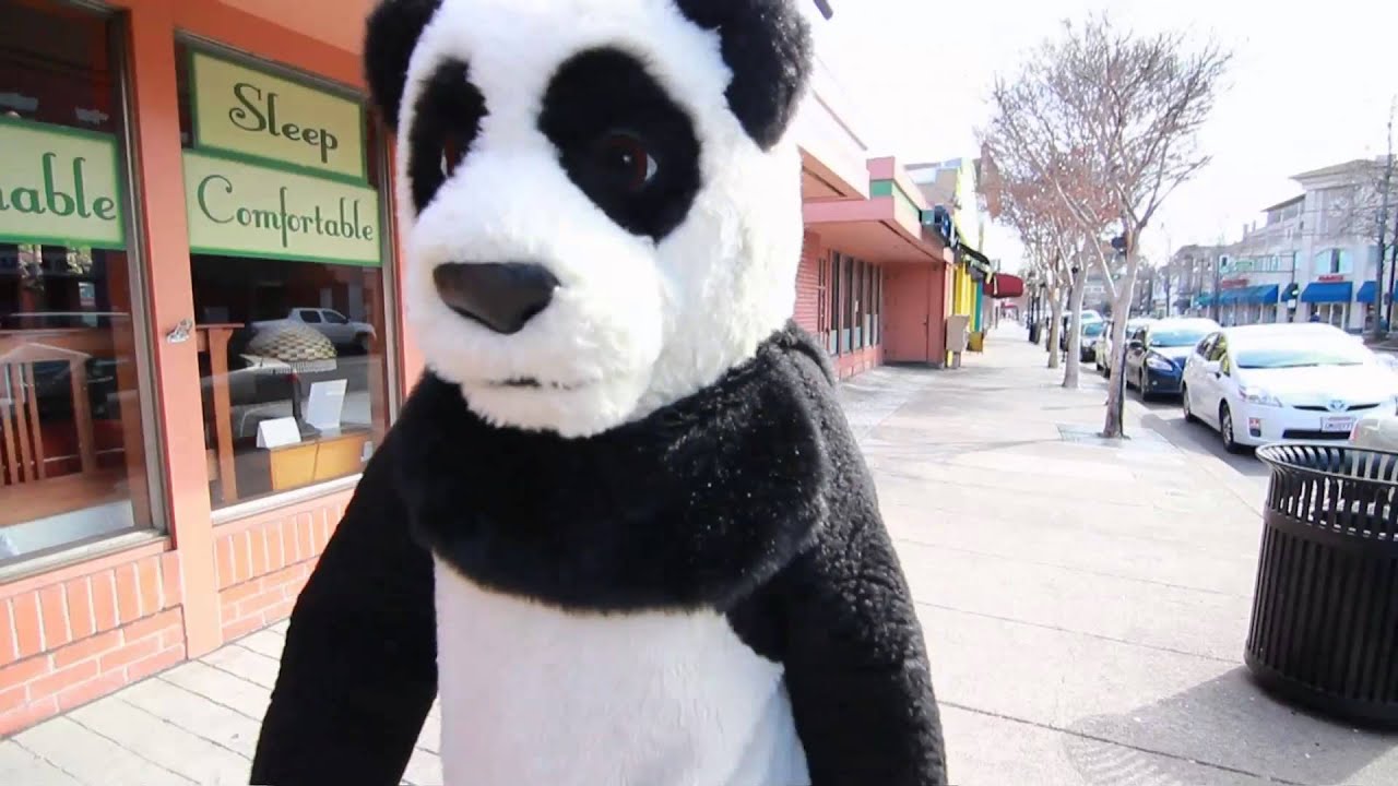 Secret Panda Society - Hometown Hustle - YouTube