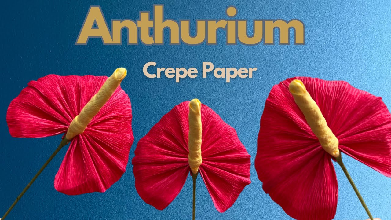 How To Make Anthurium Crepe Paper Flower | Step By Step Tutorial ...