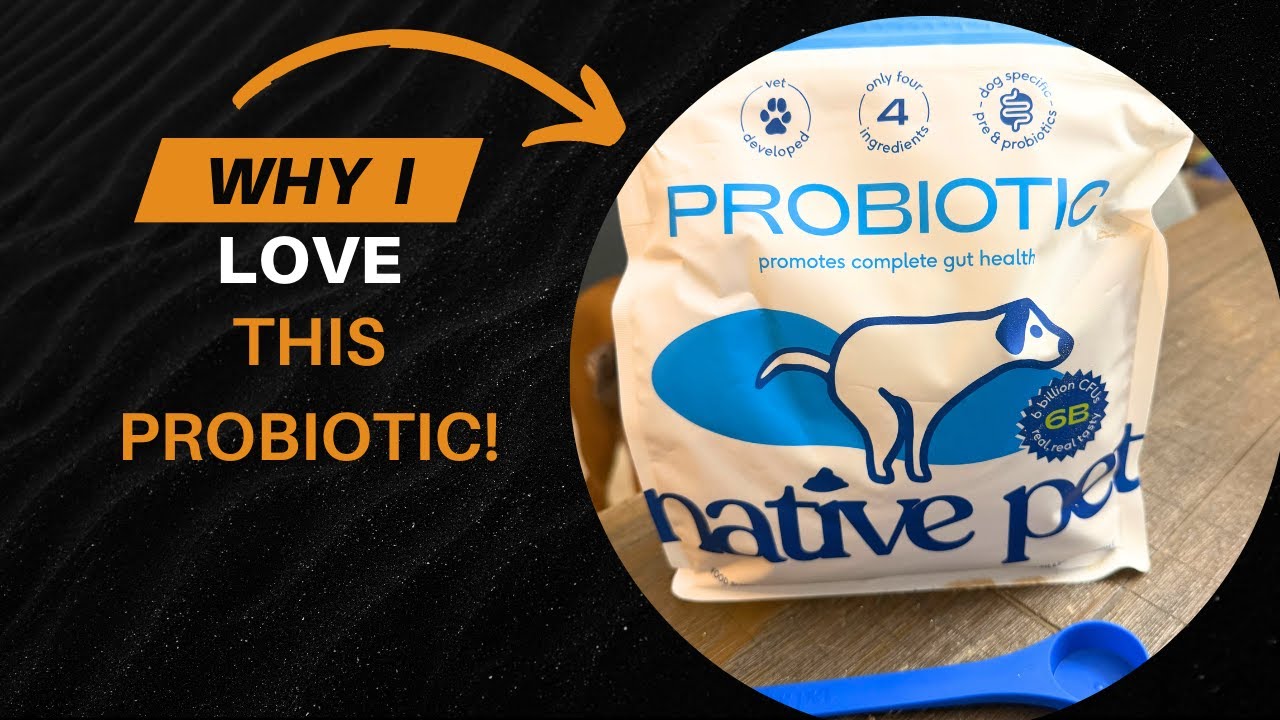 Review of Native Pet Probiotics for Dogs - YouTube