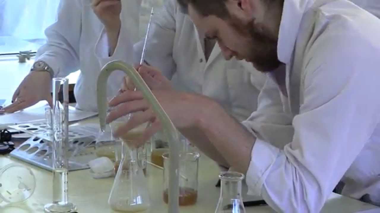 Food Science & Nutrition - YouTube