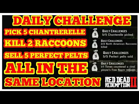 DAILY CHALLENGE Pick 5 Chanterelle Kill 2 Raccoons Sell 5 Perfect Pelts ...