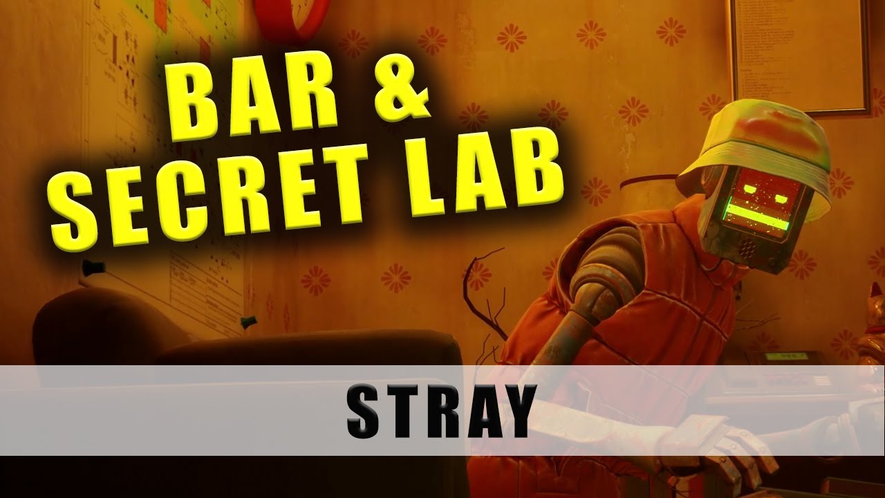 Stray Bar and Seamus Secret Lab - Walkthrough guide Part 5 - YouTube