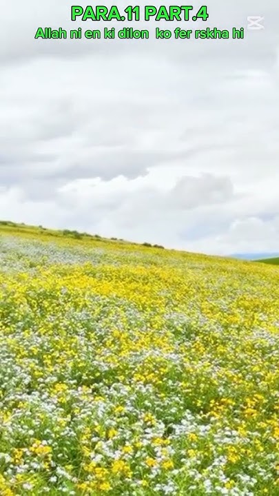 Allah ni en ki dilon ko phar rakha hi - YouTube