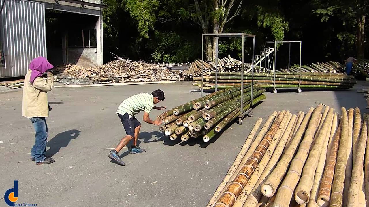 Preserving bamboo - YouTube