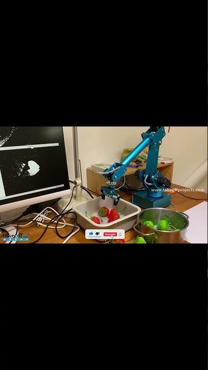Robot Arm with OpenCV Object Detection using MATLAB | Advanced Deep Learning Projects - YouTube