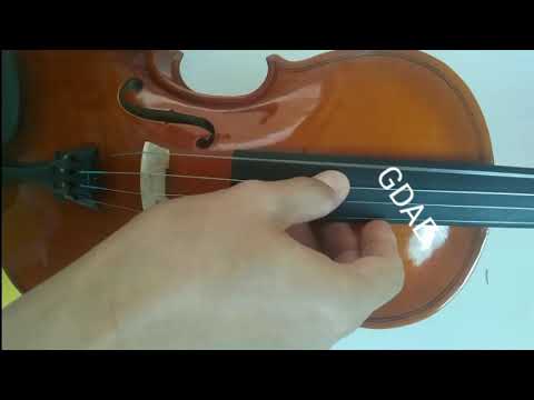 Stem Biola praktis - YouTube