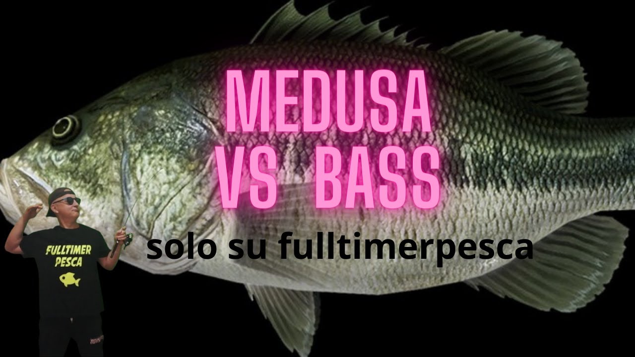 Jellyfish spinning artificiale medusa AVVENTURE DI PESCA - YouTube