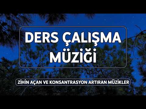 Gece Ders Çalışma Müziği 🌙 Cırcır Böcekleri & Piyano ile Derin Odak