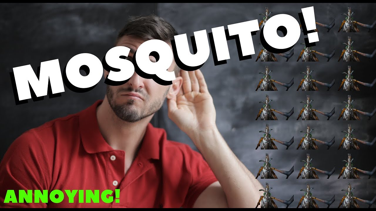 Annoying mosquito flying near the ears 10 Hours - YouTube