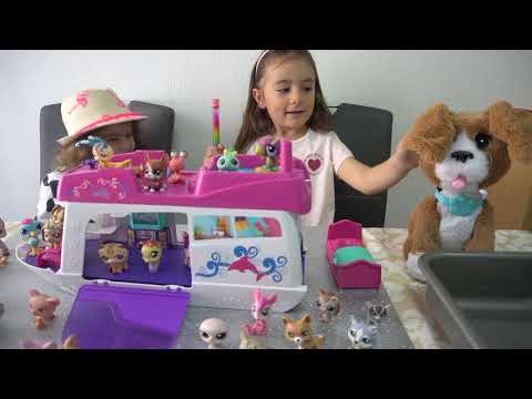 My littlest Pet Shop Collection