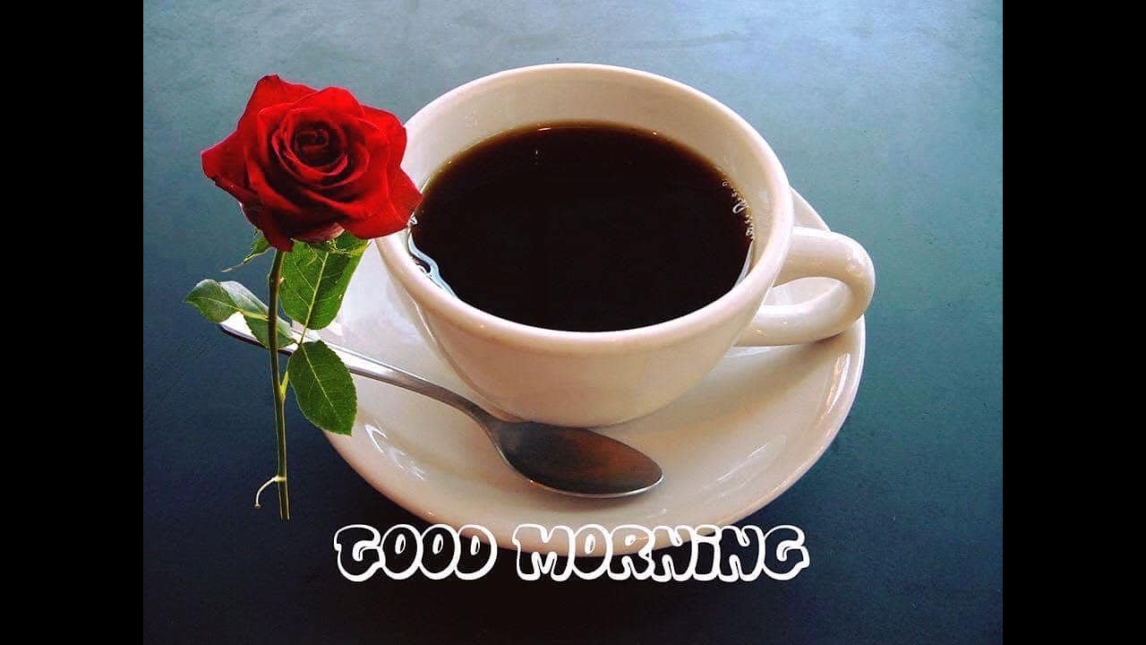 Buona domenica tanta felicita' - YouTube