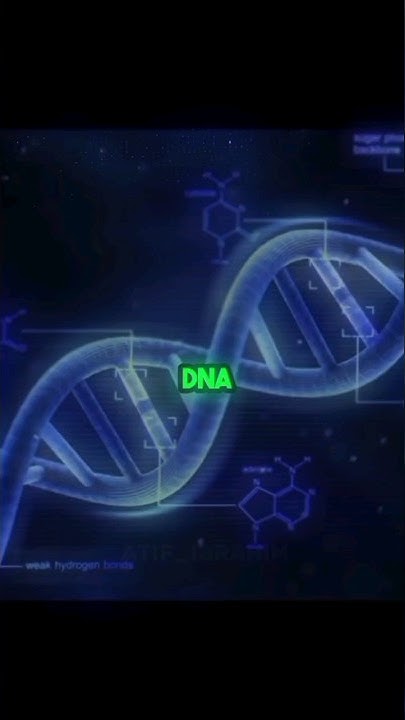 DNA & GENETIC INFORMATION #animation #dna #biology #cell #shortvideo # ...
