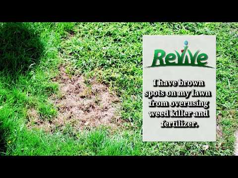 Will Revive Help Get Rid of the Brown Spots on my Lawn?