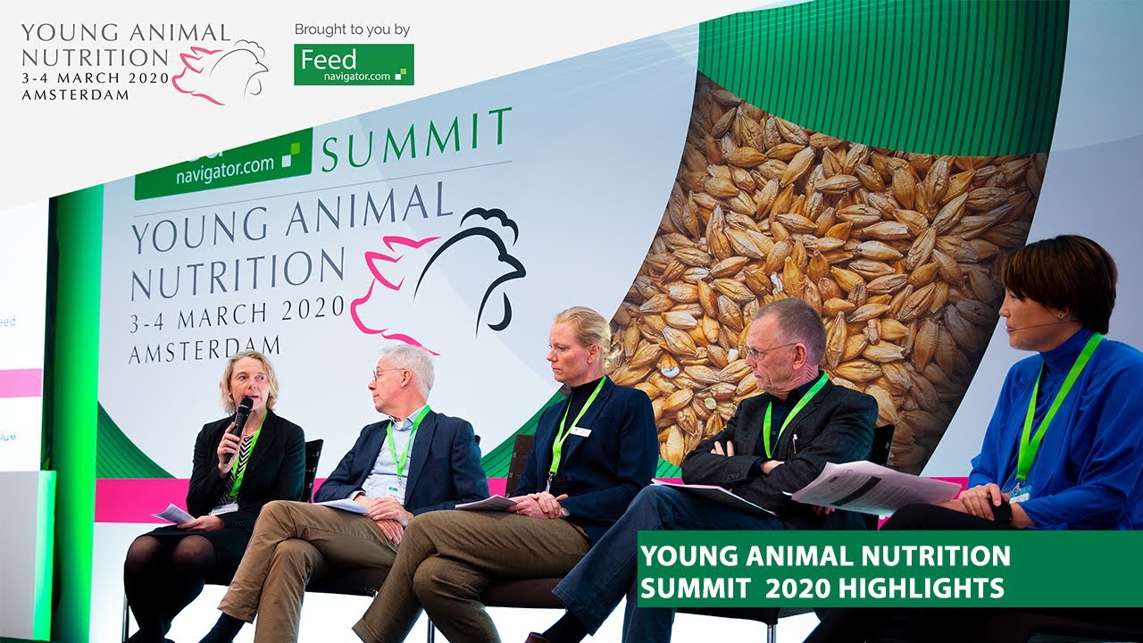 FeedNavigatorSummit: Young Animal Nutrition 2020 - YouTube