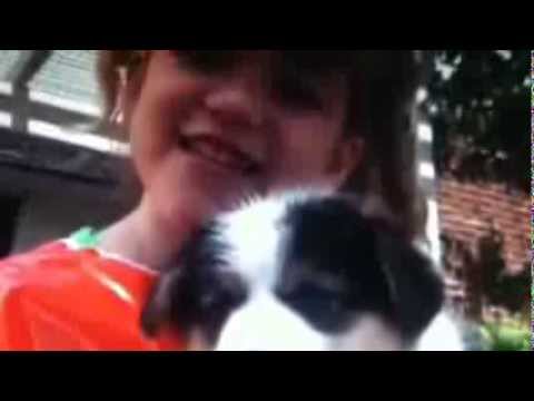 Sara's Big Day (Sara Perks From Kidsongs:I Can Do It) - YouTube