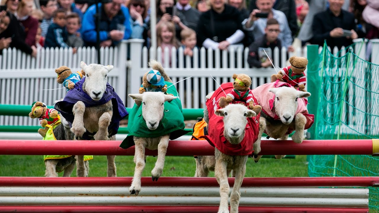 Spring Family Raceday at Ascot Racecourse - YouTube