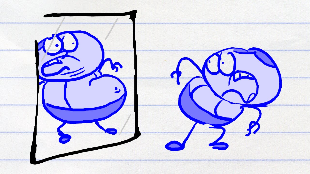 The Workout | Pencilmation Cartoon #42 - YouTube