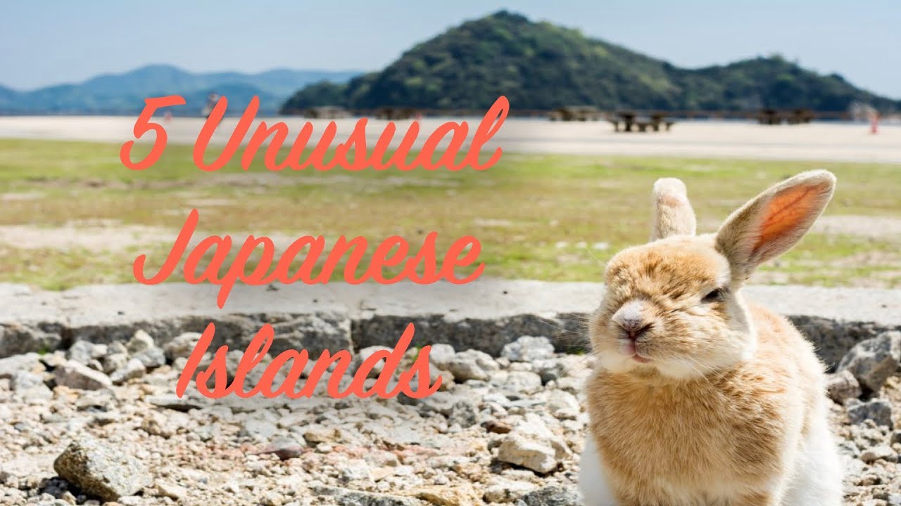 5 Most Unusual Japanese Islands - YouTube