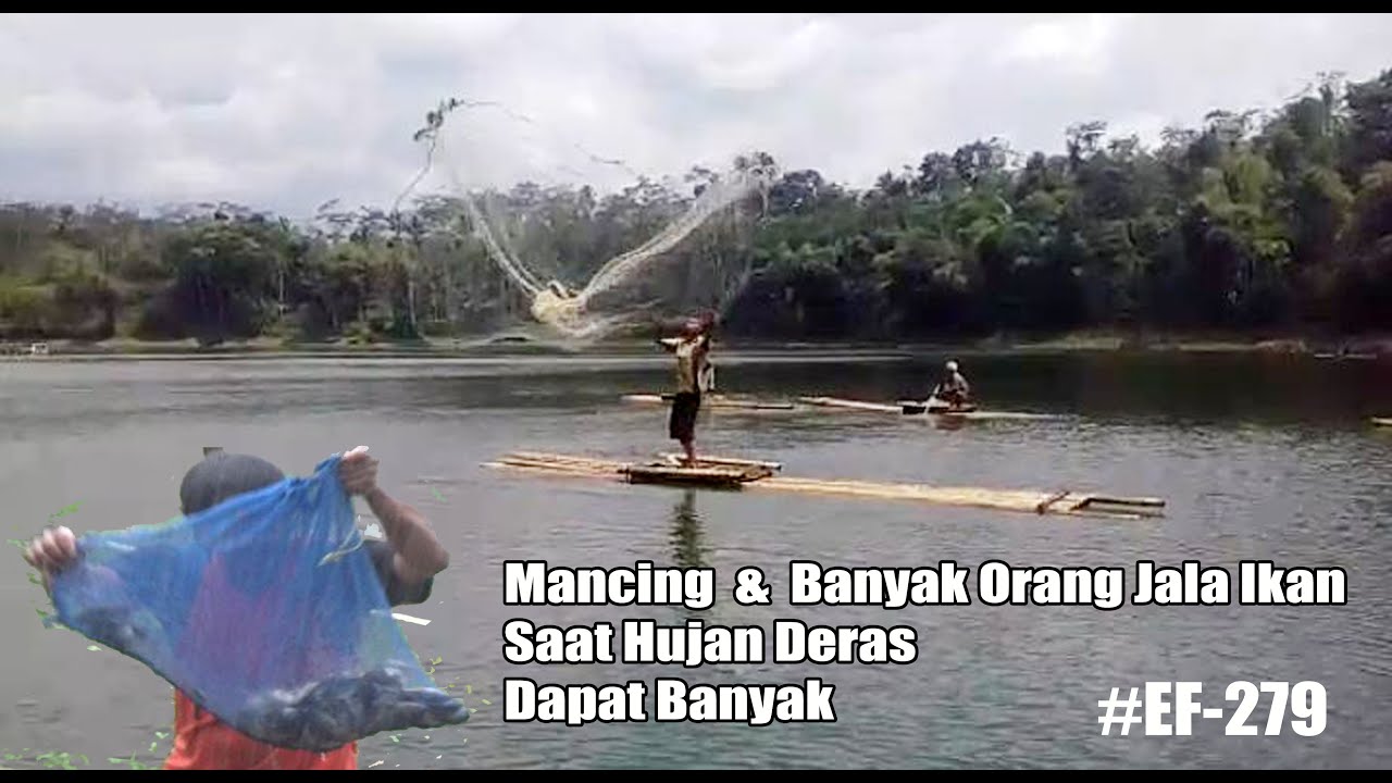 Senang Mancing Ikan Saat Hujan Deras,, d4N lihat orang jala ikan dap4T ...