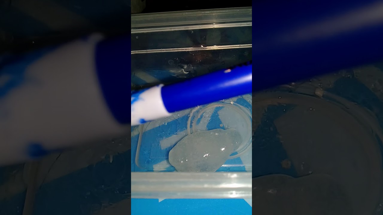 Cara mewarnai slime dengan mudah - YouTube