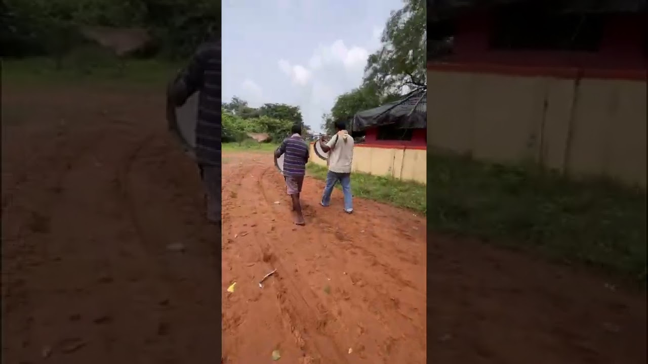 📍Bellampalli 🛕yellaram pochamma temple #bellampalli #trending #pochamma ...