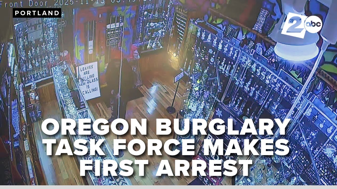 New 'Burglary Task Force' with focus on small businesses makes first ...