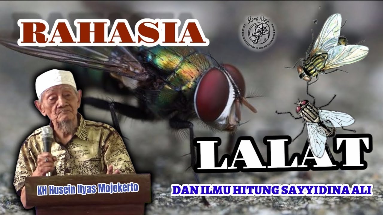 RAHASIA Sayap Lalat (Matematika Sayyidina Ali) || Simbah KH Husein ...