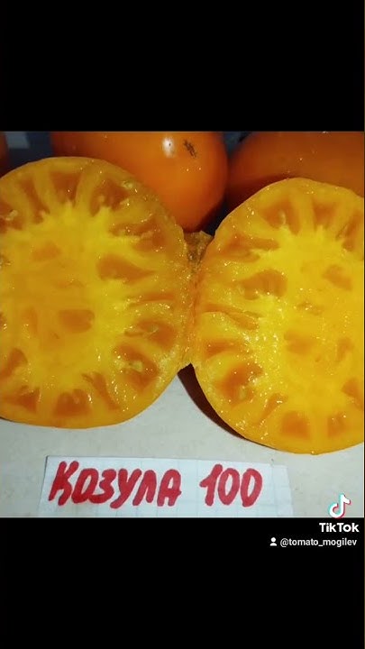 Генерал Корнилов , Людмила жёлтая , Большой куш и Козула 100 . - YouTube