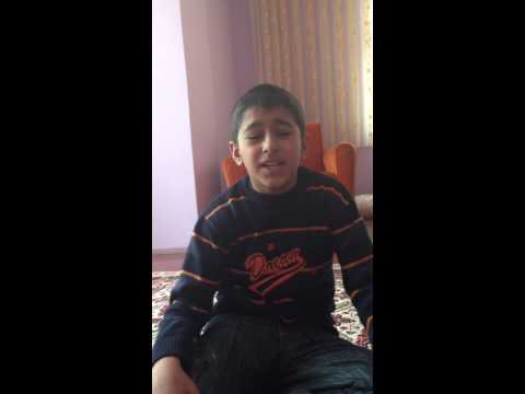 TALHA ALKAŞI  LORİ LORİ LORİGAMIN